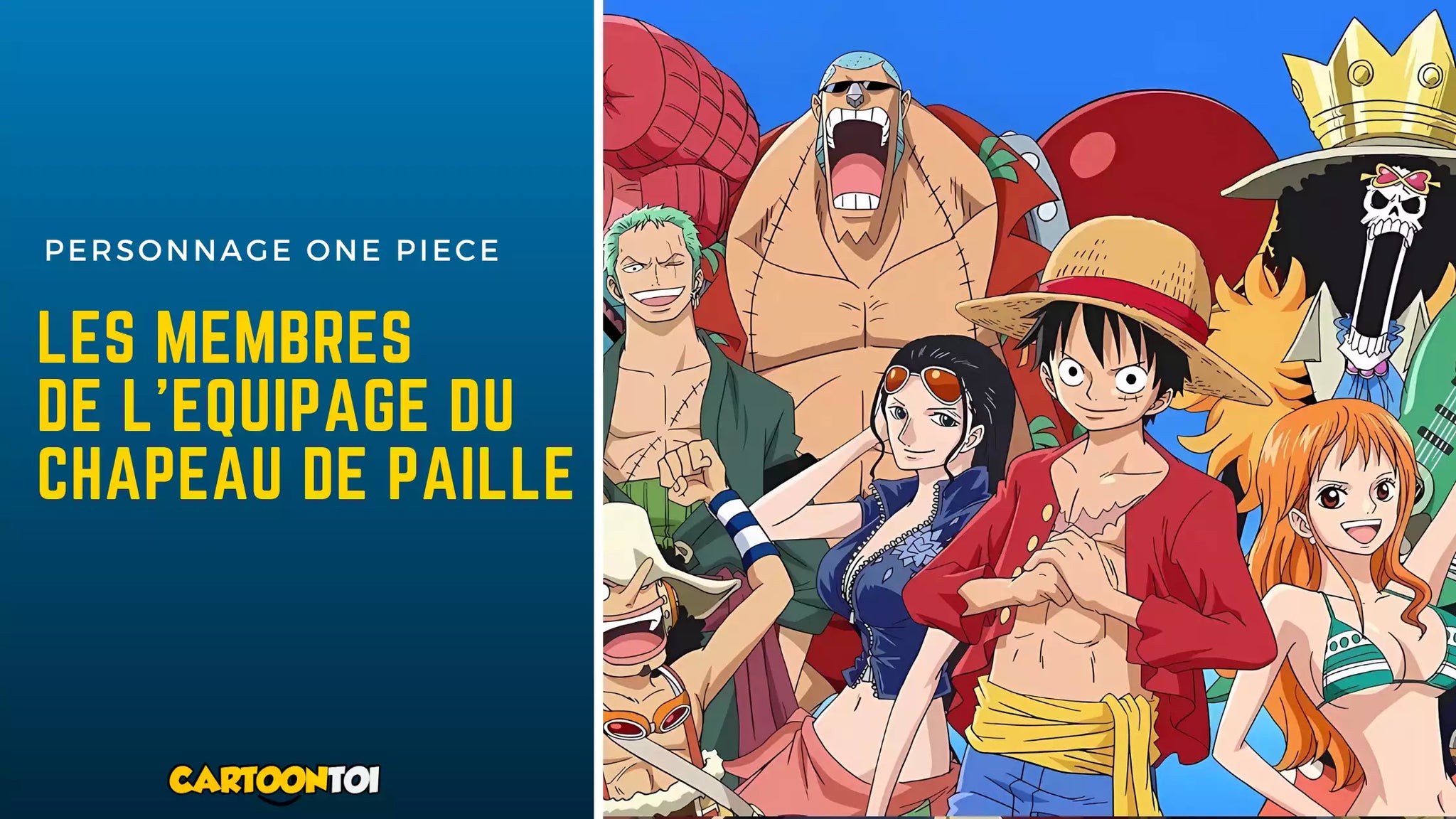 Qui sont les membres de l'Équipage du Chapeau de Paille